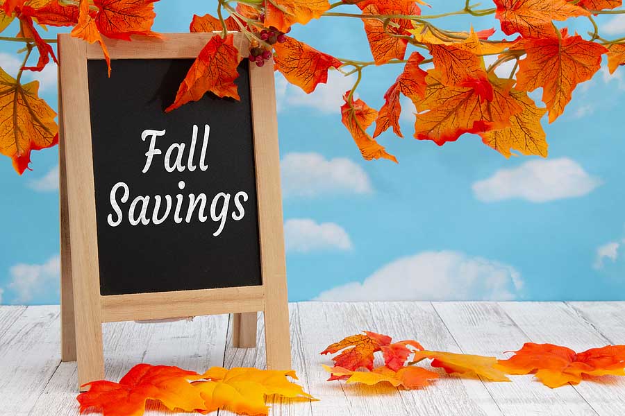 Fall Marketing Strategies: 8 Tips to Tailor Your Seasonal Plan Mischa ...